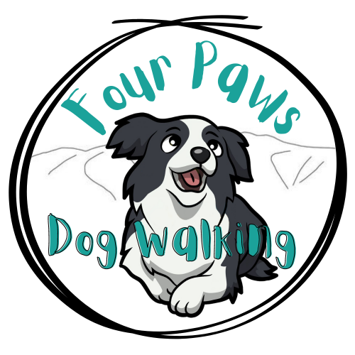 Dog Walker Kirkby Lonsdale Four Paws Friendly Safe Fun Reliable